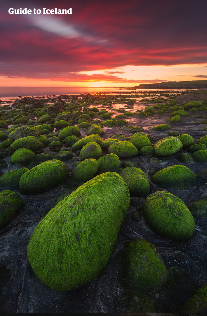 The Ultimate Guide to Iceland in August | Guide to Iceland